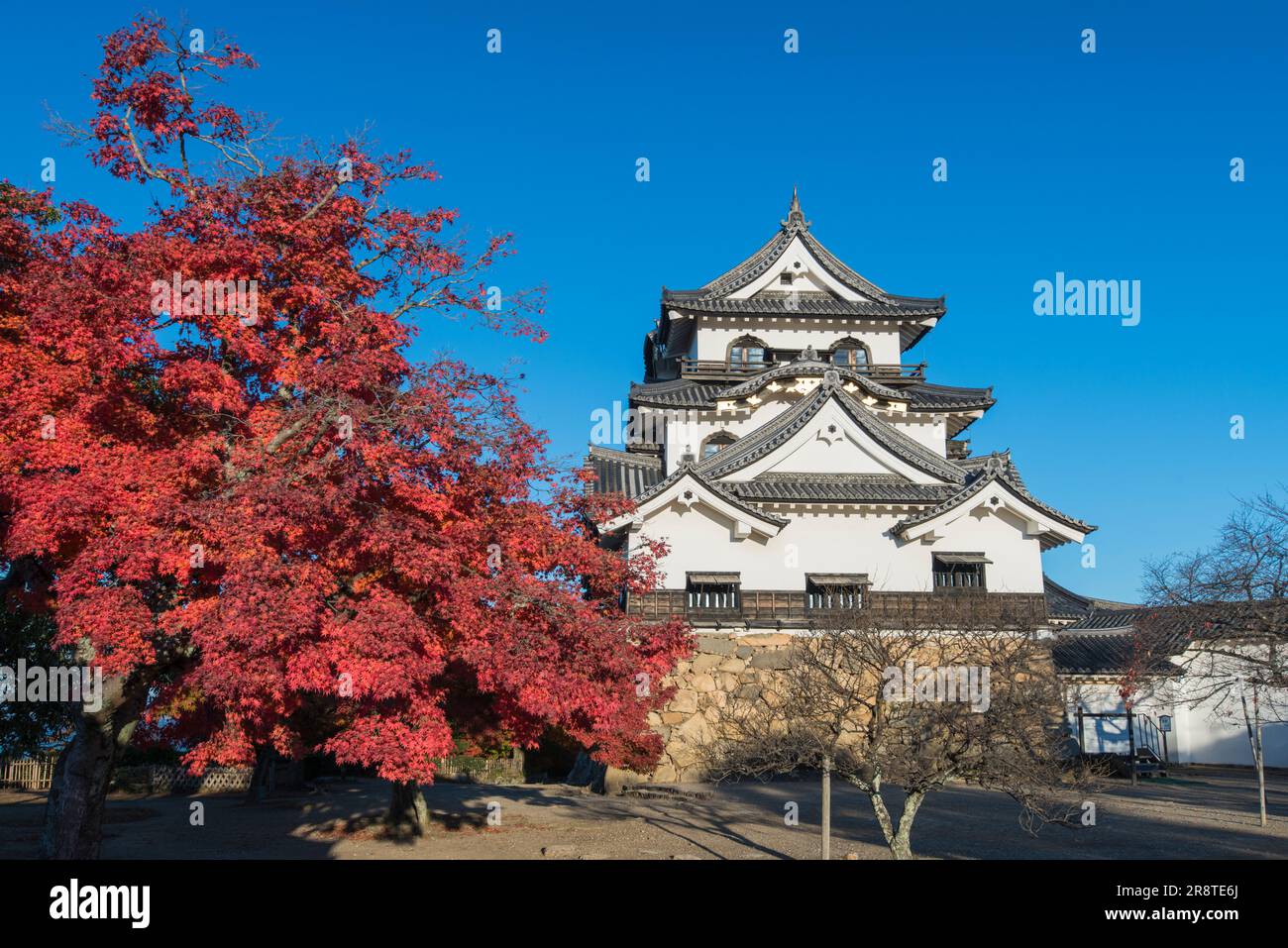 Hikone Castle in Autumn Stock Photo - Alamy