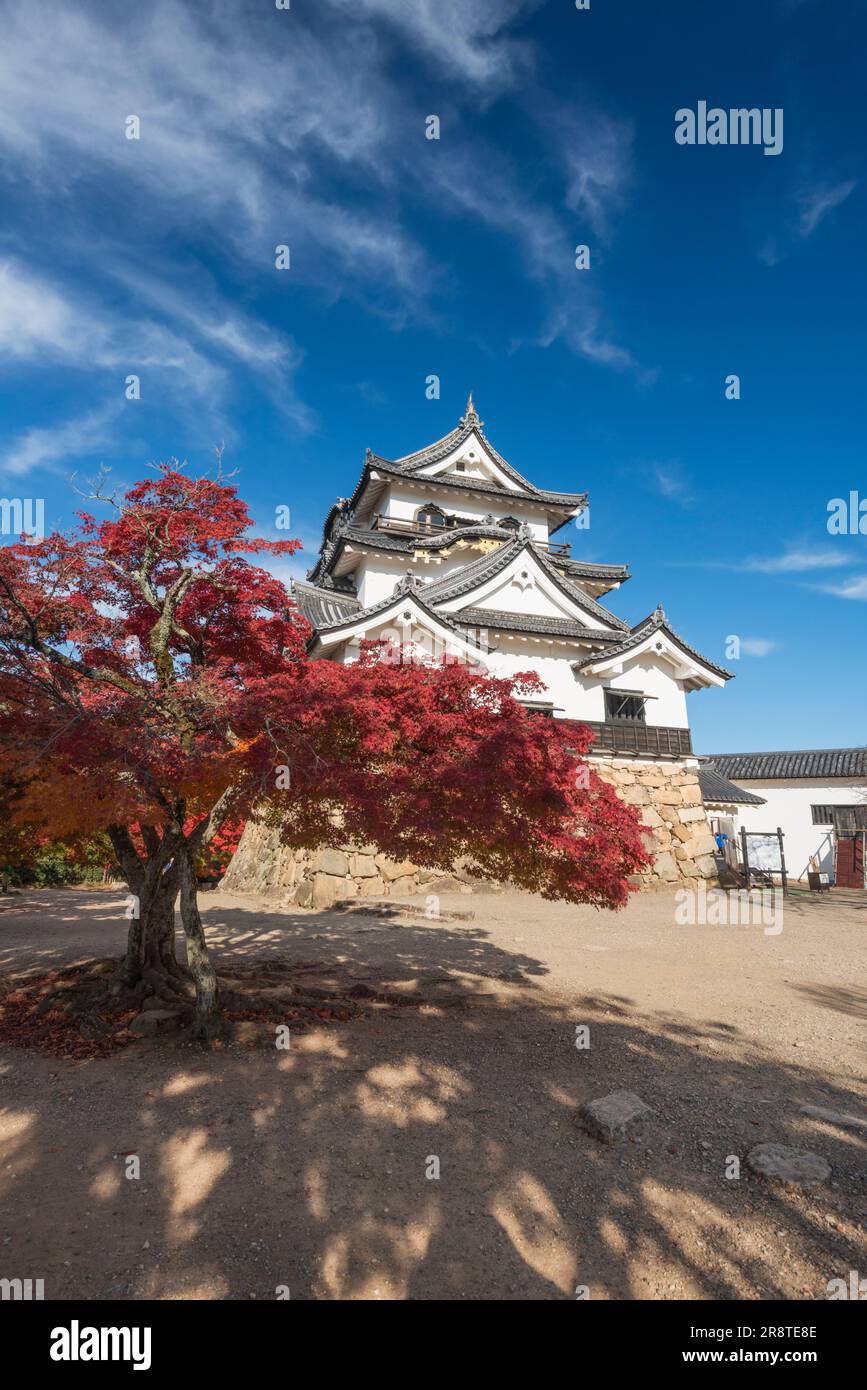 Hikone Castle in Autumn Stock Photo - Alamy