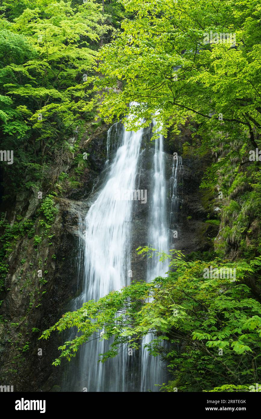 Kaiko no taki hi-res stock photography and images - Alamy