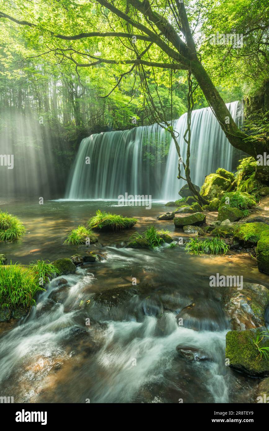 Shaft of light hi-res stock photography and images - Alamy