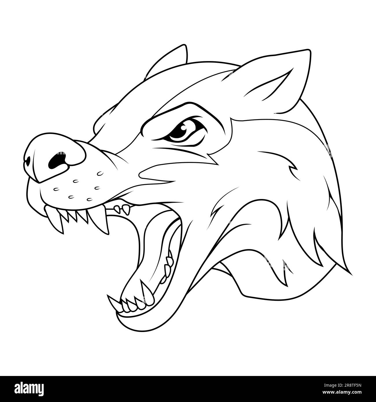 Badger. Vector illustration of a sketch wild animal. Angry brock Stock ...