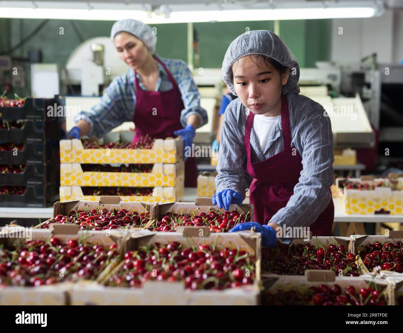 Girl and woman are working in warehouse Stock Photo - Alamy