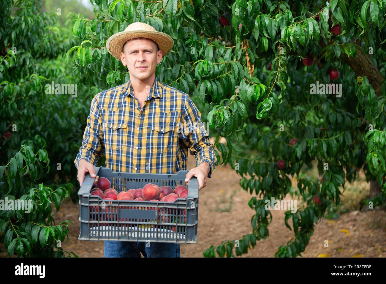 Worker carrying plastic crates hi-res stock photography and images - Alamy Worker carrying plastic crates hi-res stock photography and images - Alamy
