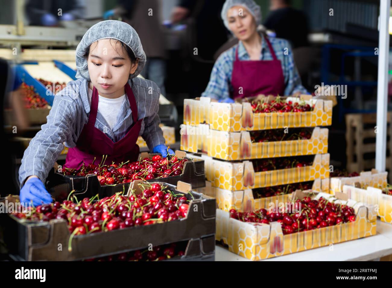 Girl and woman are working in warehouse Stock Photo - Alamy