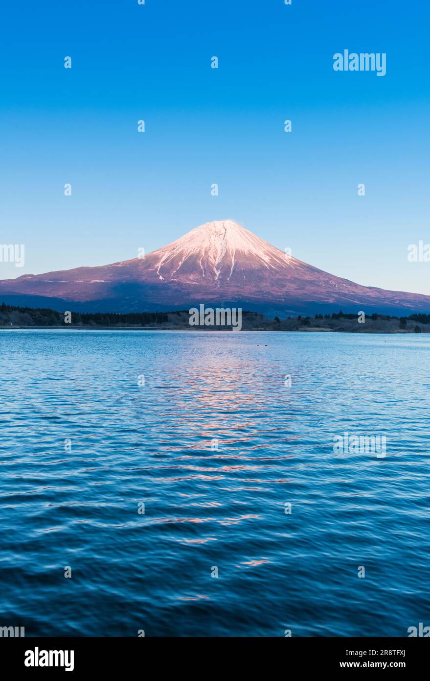 Mt. Fuji illuminated by the setting sun and Lake Tanuki Stock Photo - Alamy