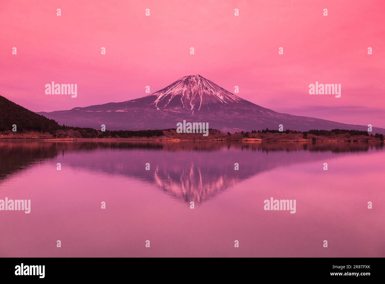 Mt. Fuji at dawn seen from the Lake Tanuki Stock Photo - Alamy