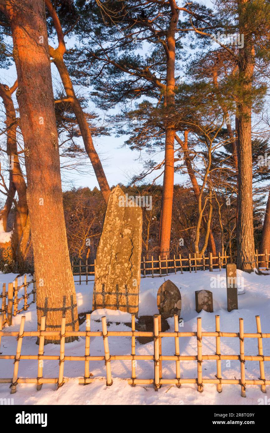 Pine tree of saigyo modoshi hi-res stock photography and images - Alamy
