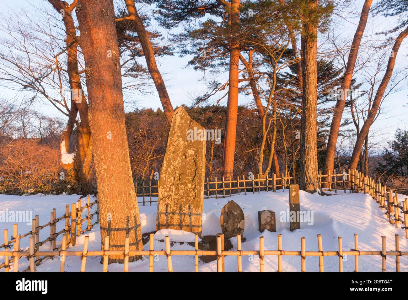 Pine tree of saigyo modoshi hi-res stock photography and images - Alamy