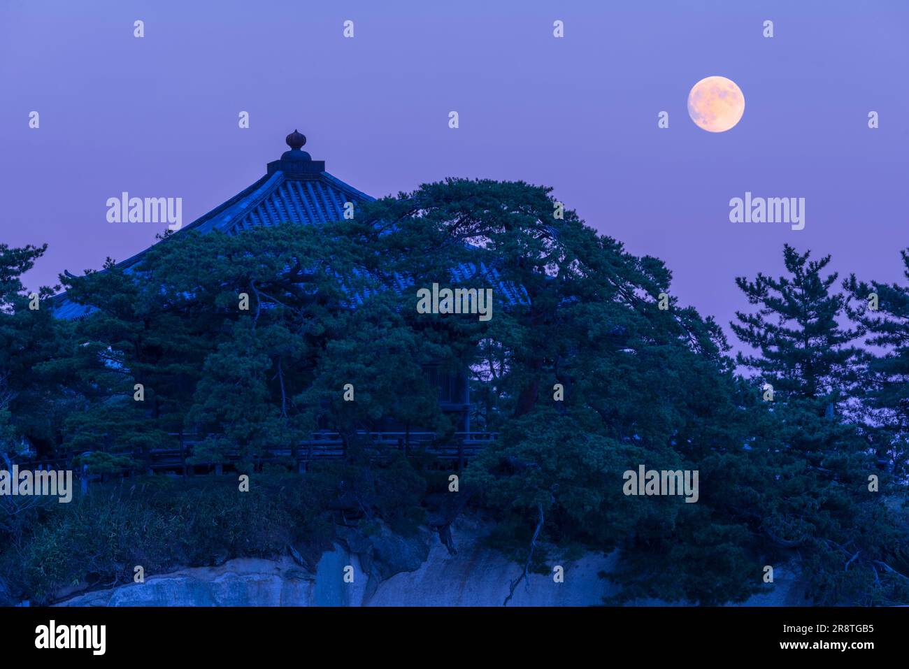 Moon is out hi-res stock photography and images - Alamy