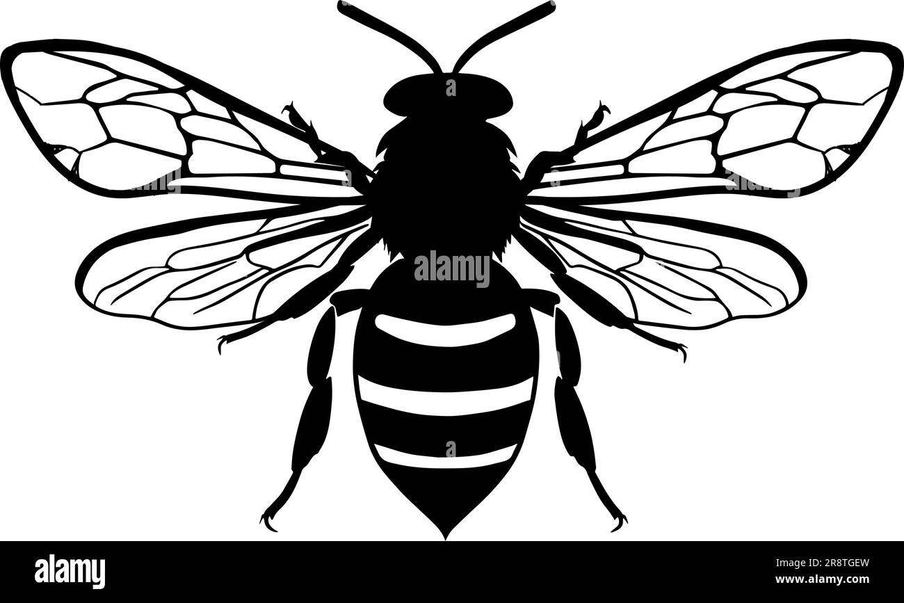 Bee Outline Clipart