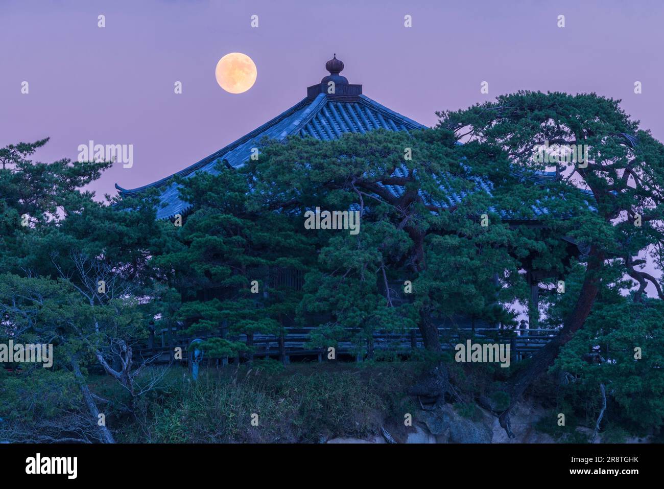 Moon is out hi-res stock photography and images - Alamy