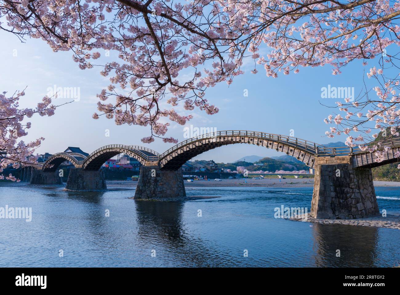 Kintai Bridge with bloomed cherry blossoms in the morning Stock Photo ...