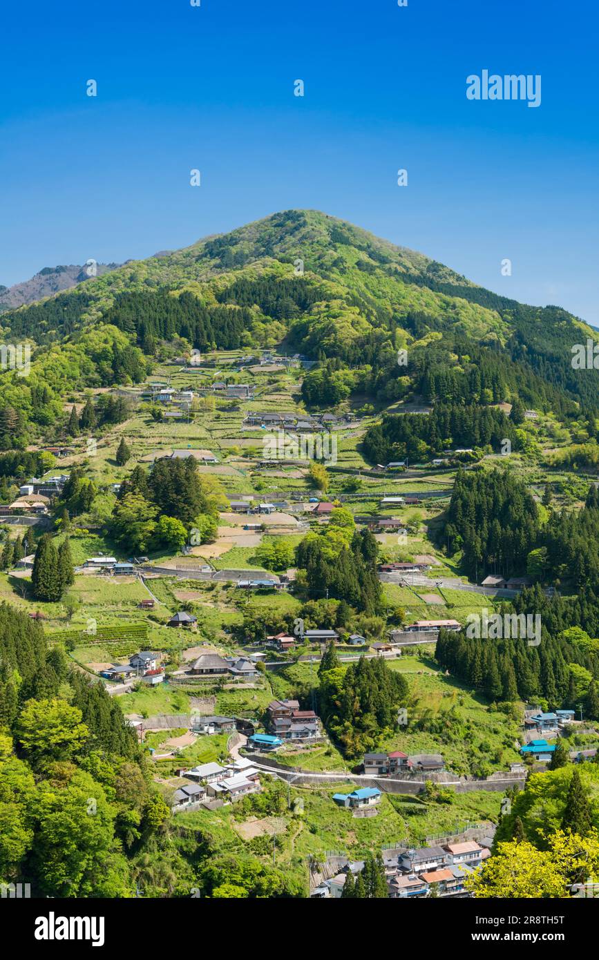 The Ochiai colony of legend for defeated soldier fleeing the enemy ...