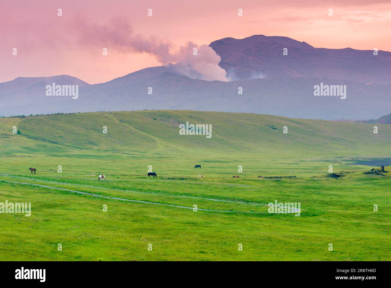 Grass chisato hi-res stock photography and images - Alamy