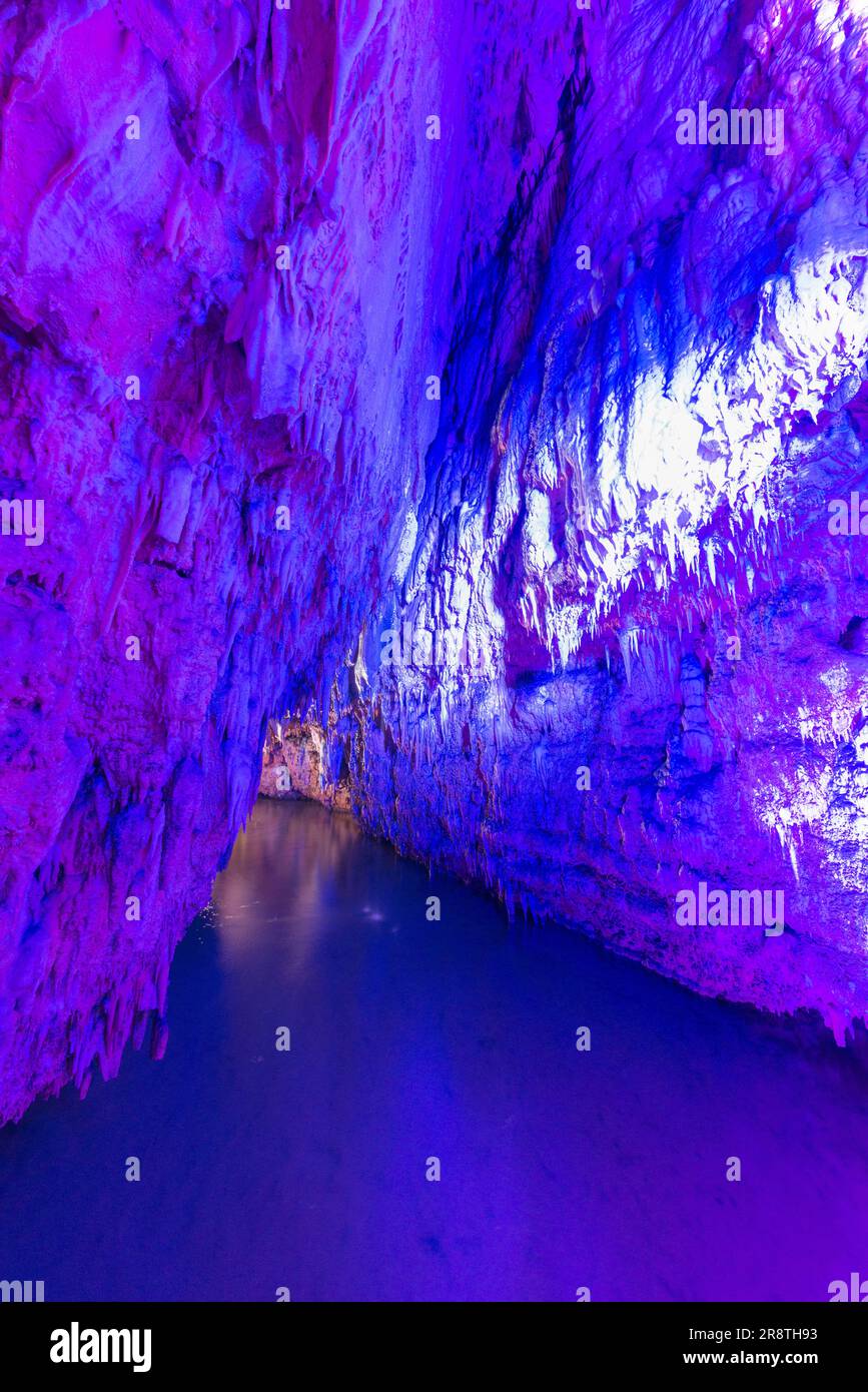 Maki do cave hi-res stock photography and images - Alamy