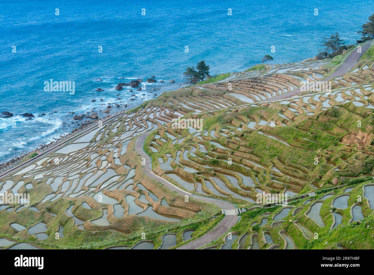 Shiroyone Senmaida (rice terrace Stock Photo - Alamy