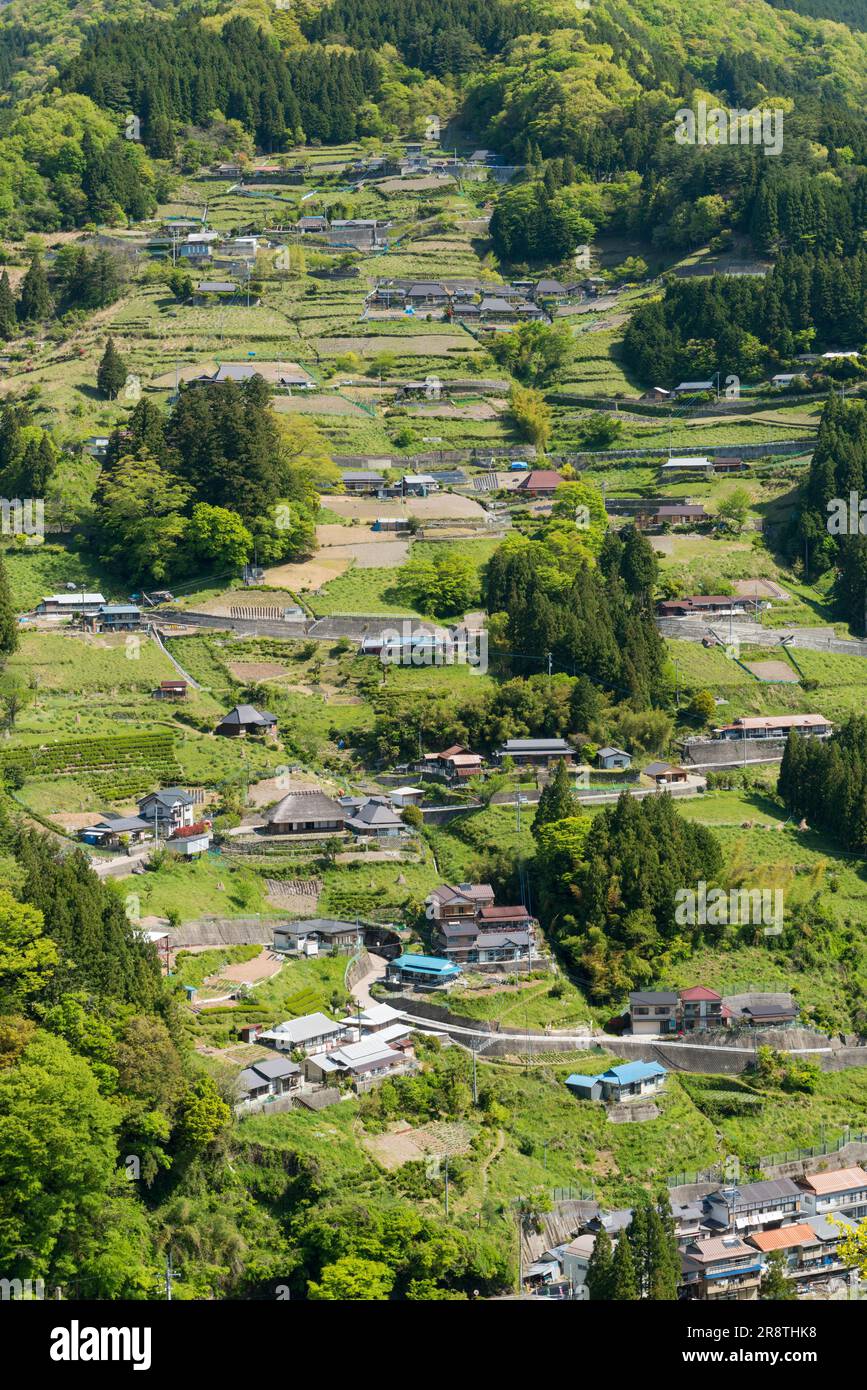 The Ochiai colony of legend for defeated soldier fleeing the enemy ...