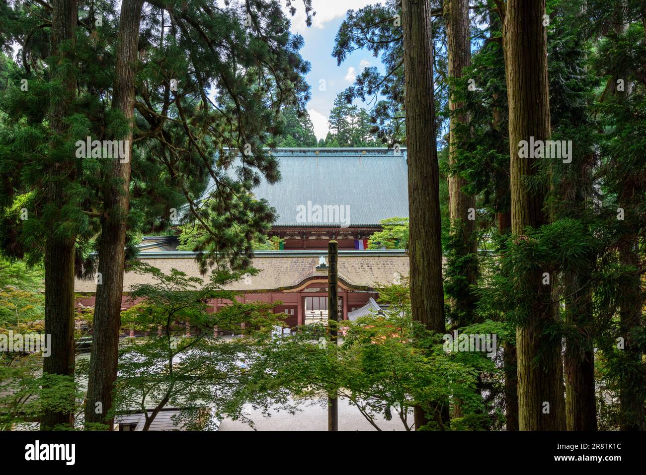 Nemoto japan hi-res stock photography and images - Alamy