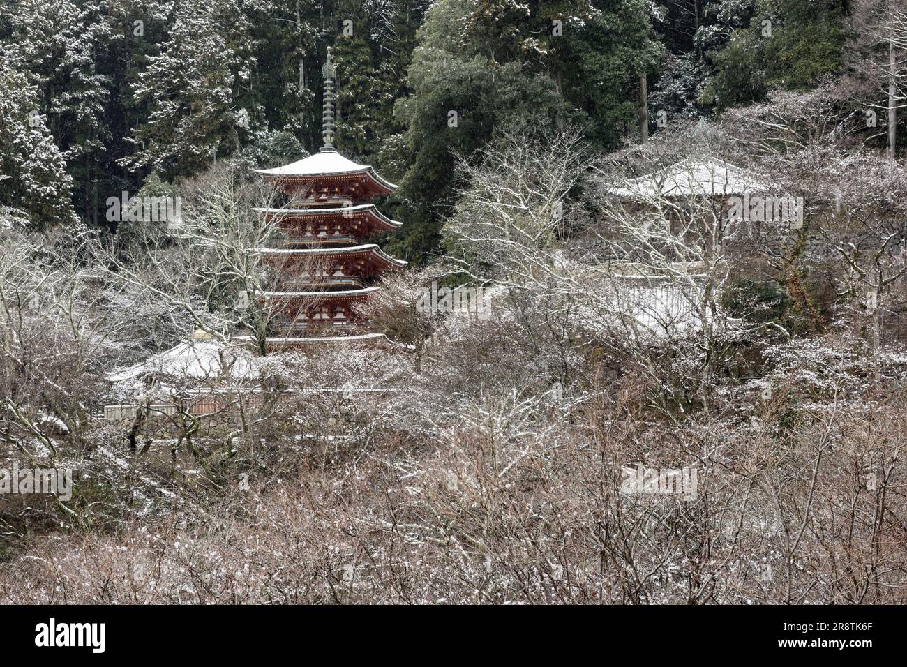 Nature temple hi-res stock photography and images - Alamy