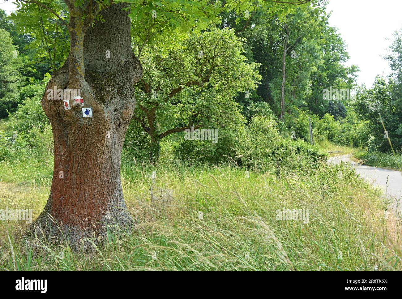 Pottery Circular Trail in Bürgel, Thuringia, Landscape with signpost on ...