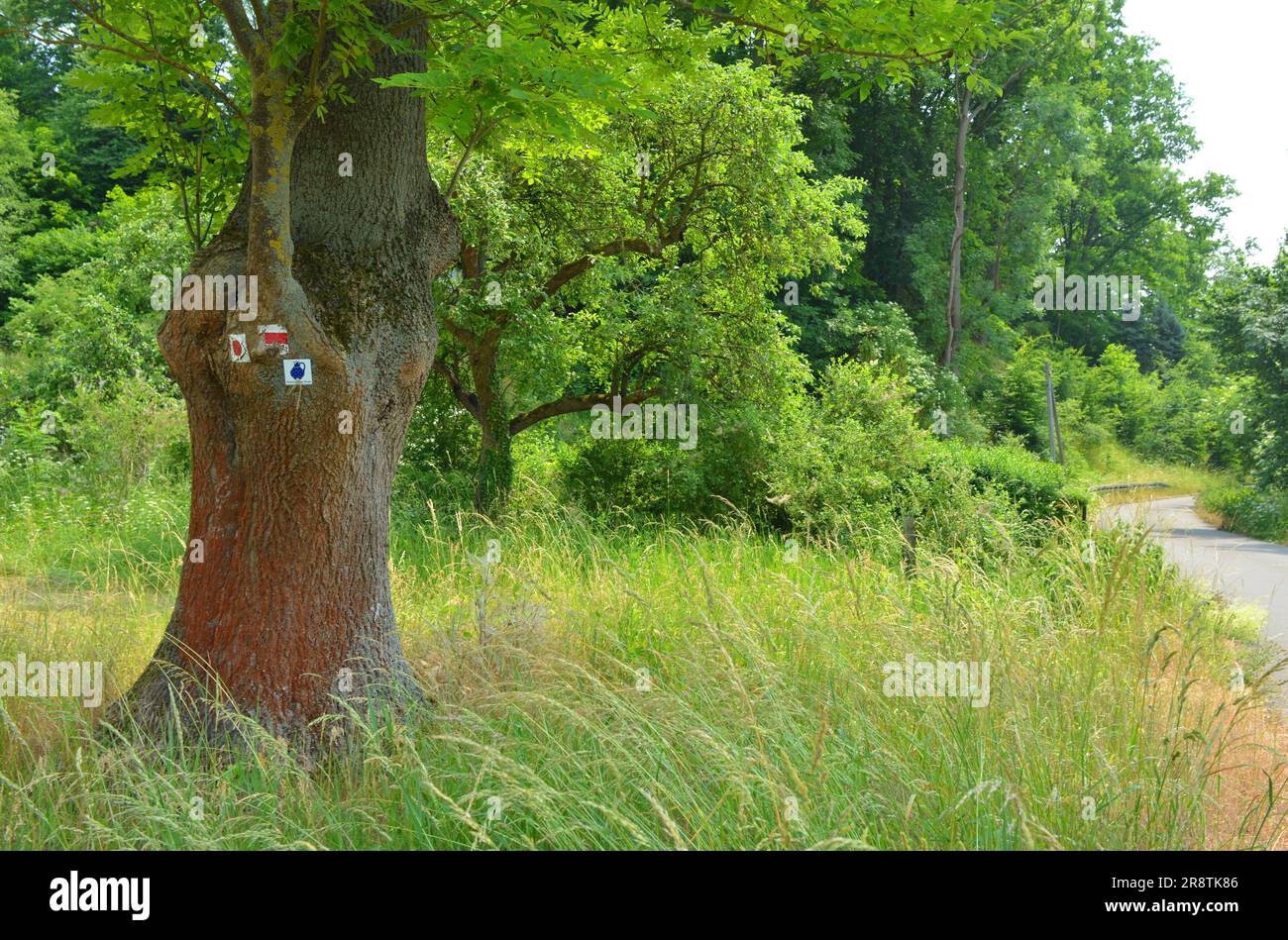 Circular pottery trail hi-res stock photography and images - Alamy