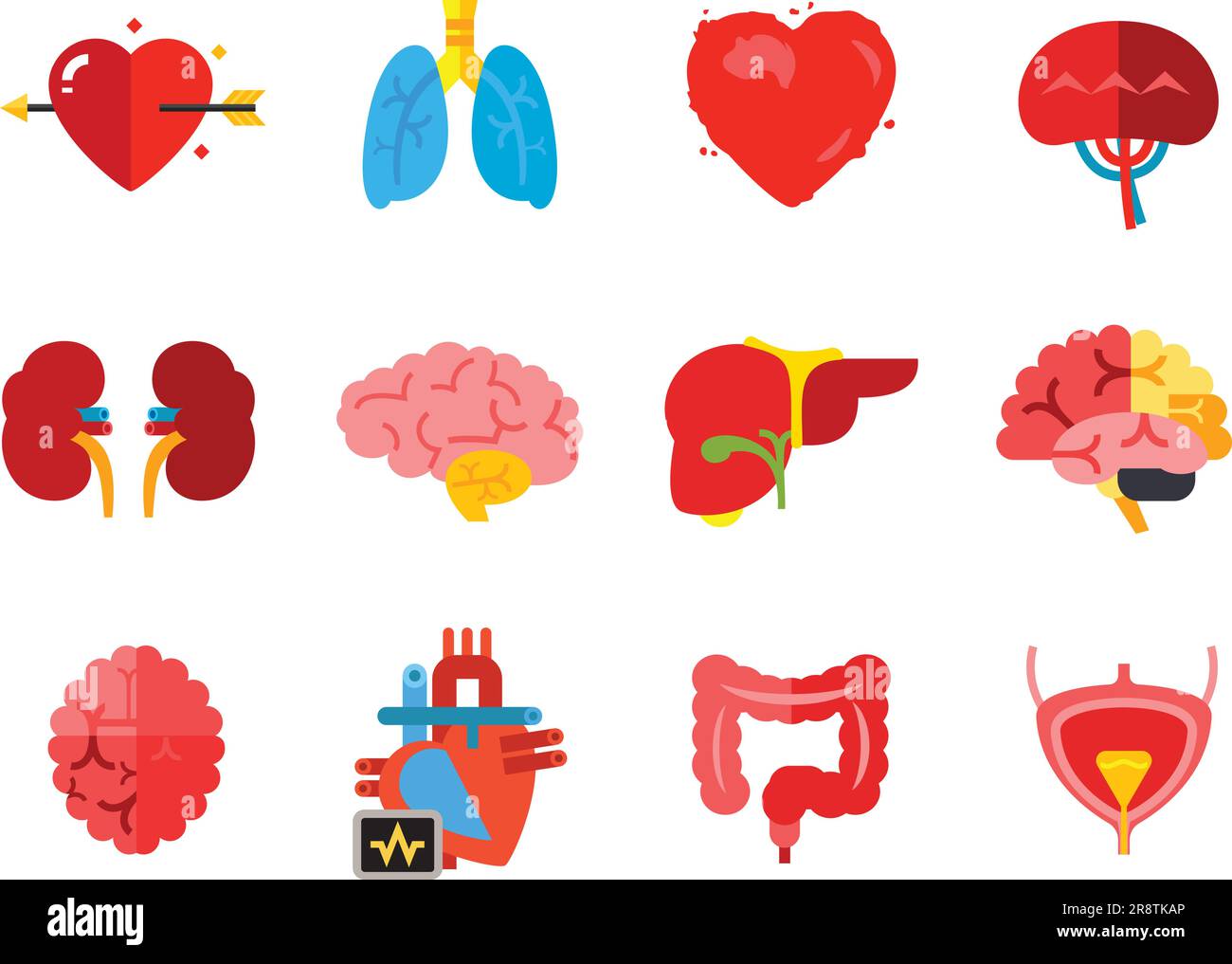 Organs Icon Set Stock Vector Image & Art - Alamy