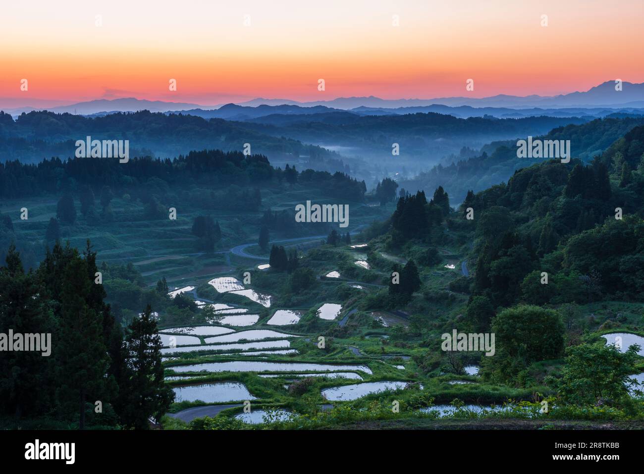 Terraced Rice Fields at Hoshitoge at Dawn Stock Photo - Alamy