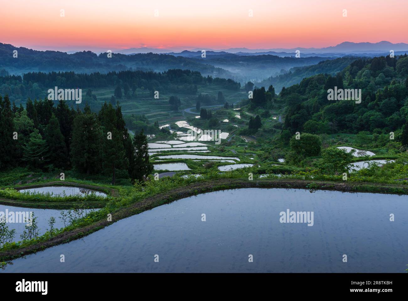 Terraced Rice Fields at Hoshitoge at Dawn Stock Photo - Alamy
