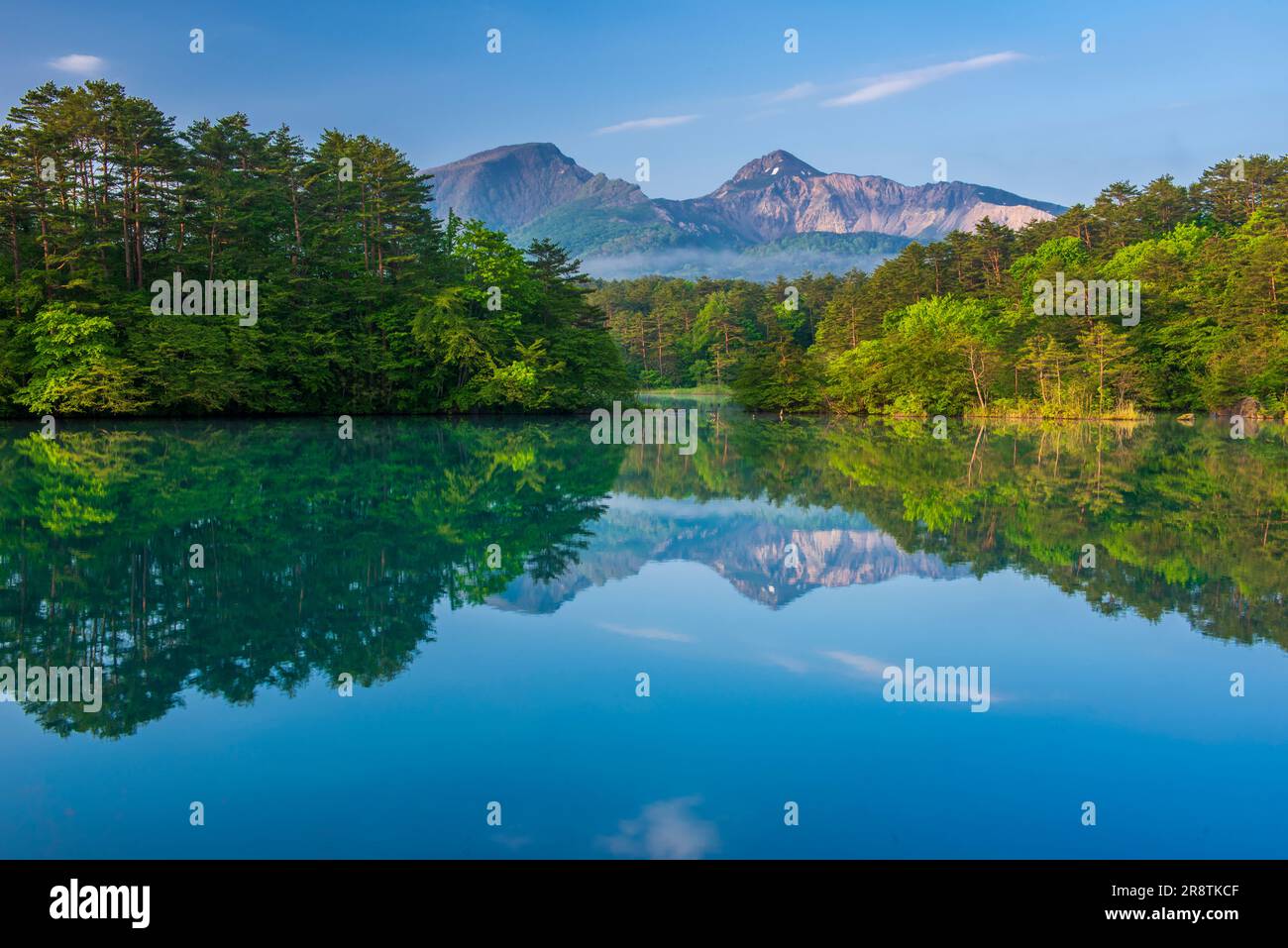 Fresh green foliage of Goshiki Pond and Mt. Bandai Stock Photo - Alamy
