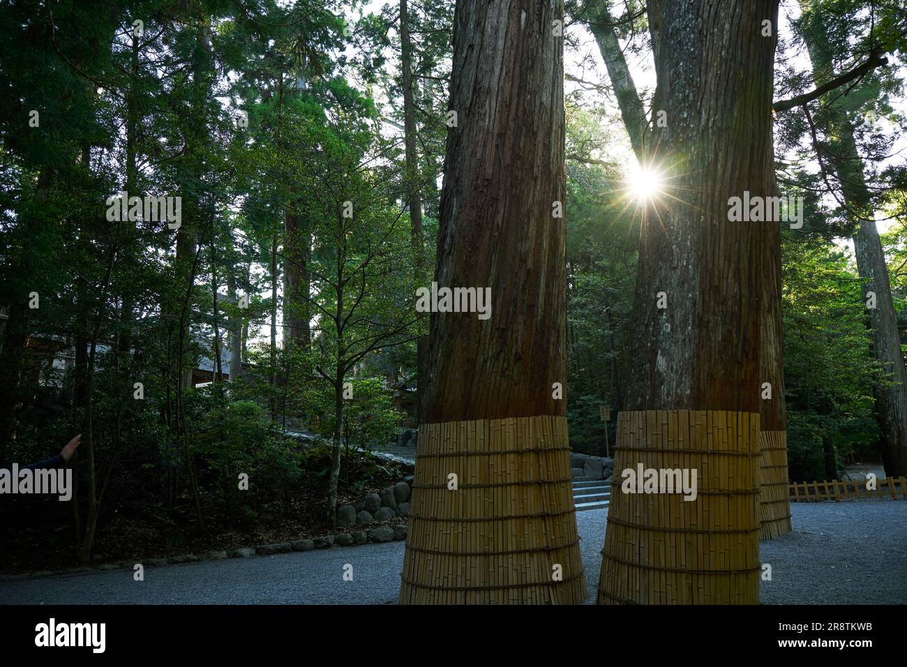 Ise Jingu Approach Stock Photo - Alamy