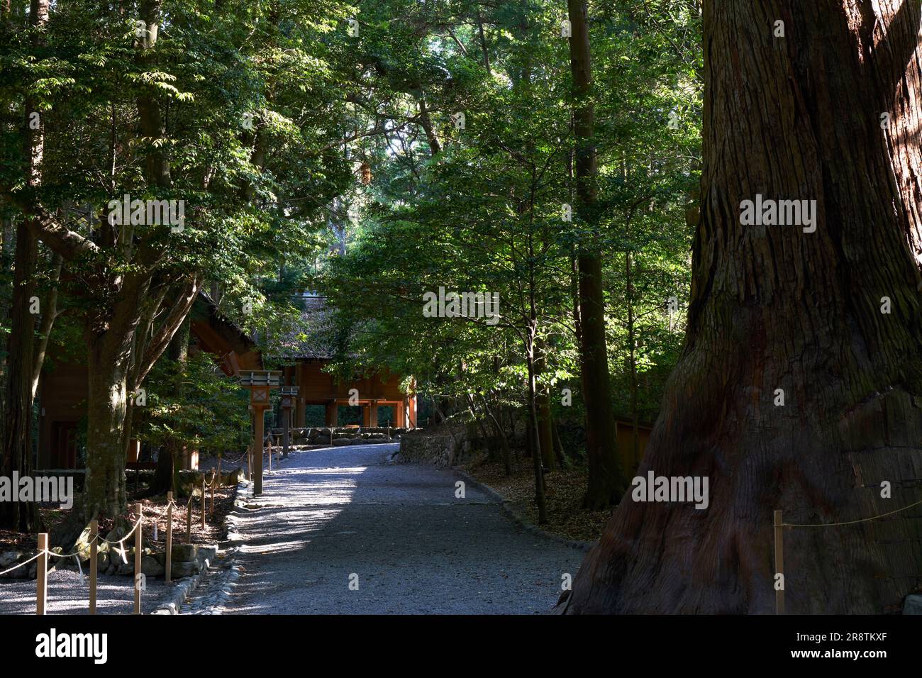 Ise Jingu Approach Stock Photo - Alamy