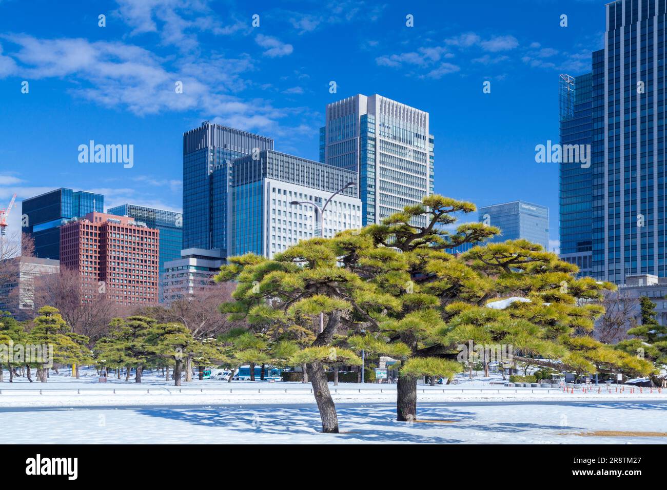 Snowy open space in front of the Imperial Palace to a group of ...