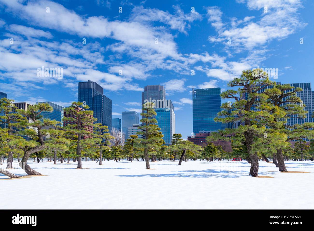 Snowy open space in front of the Imperial Palace to a group of ...