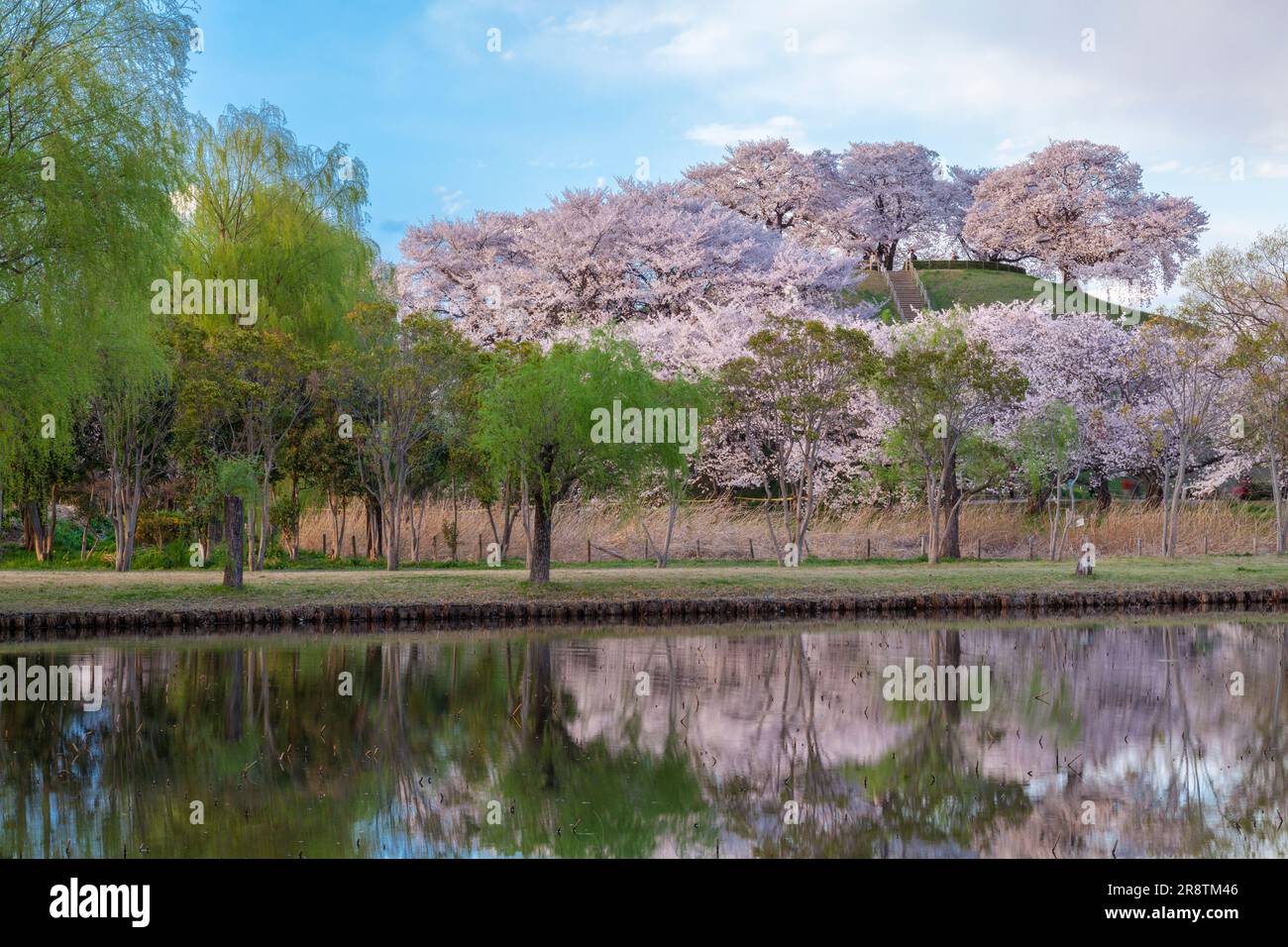 Sakitama kofun park hi-res stock photography and images - Alamy