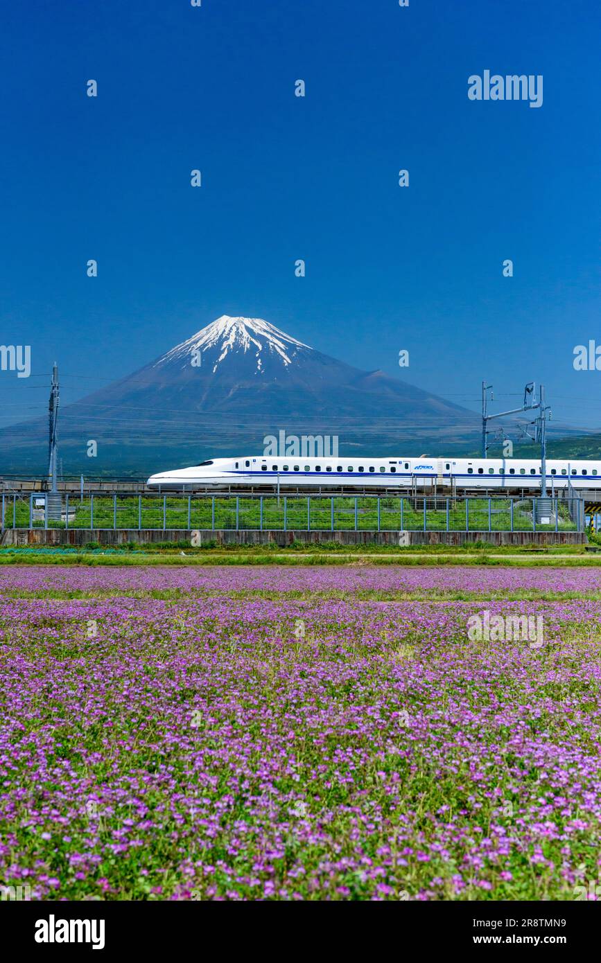 Shinkansen and Mt. Fuji Stock Photo - Alamy