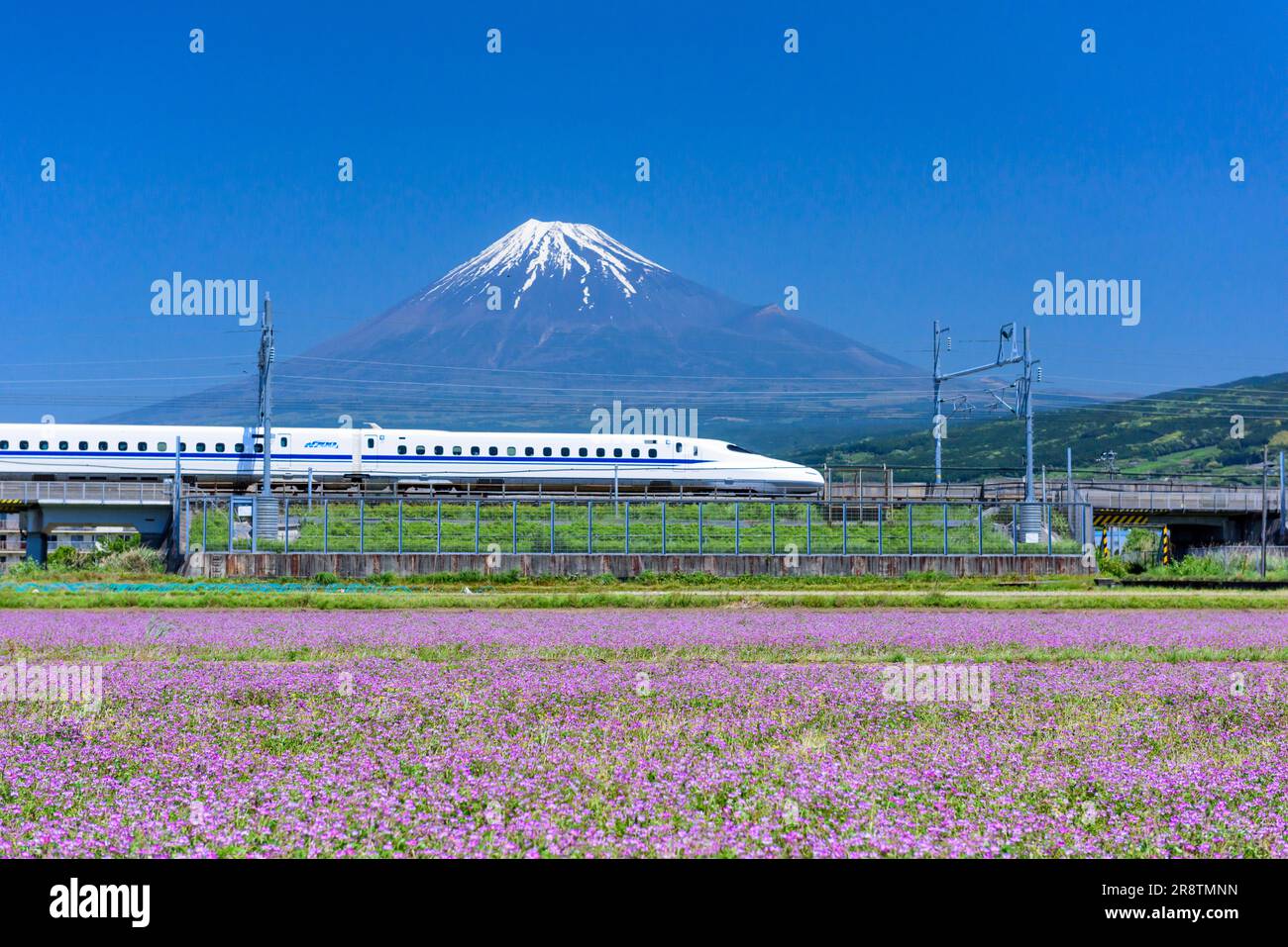 Shinkansen and Mt. Fuji Stock Photo - Alamy