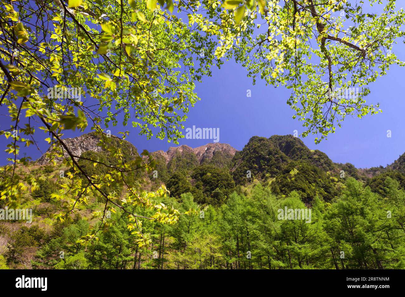 Mt. 600 in fresh green Stock Photo - Alamy