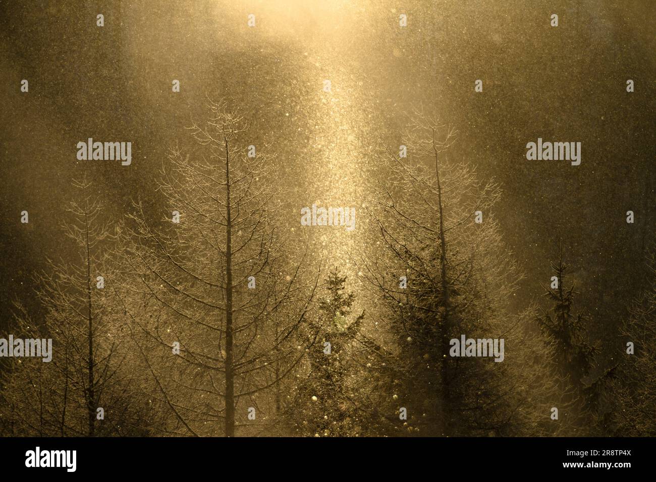 Sun pillar at Kirigamine Stock Photo - Alamy