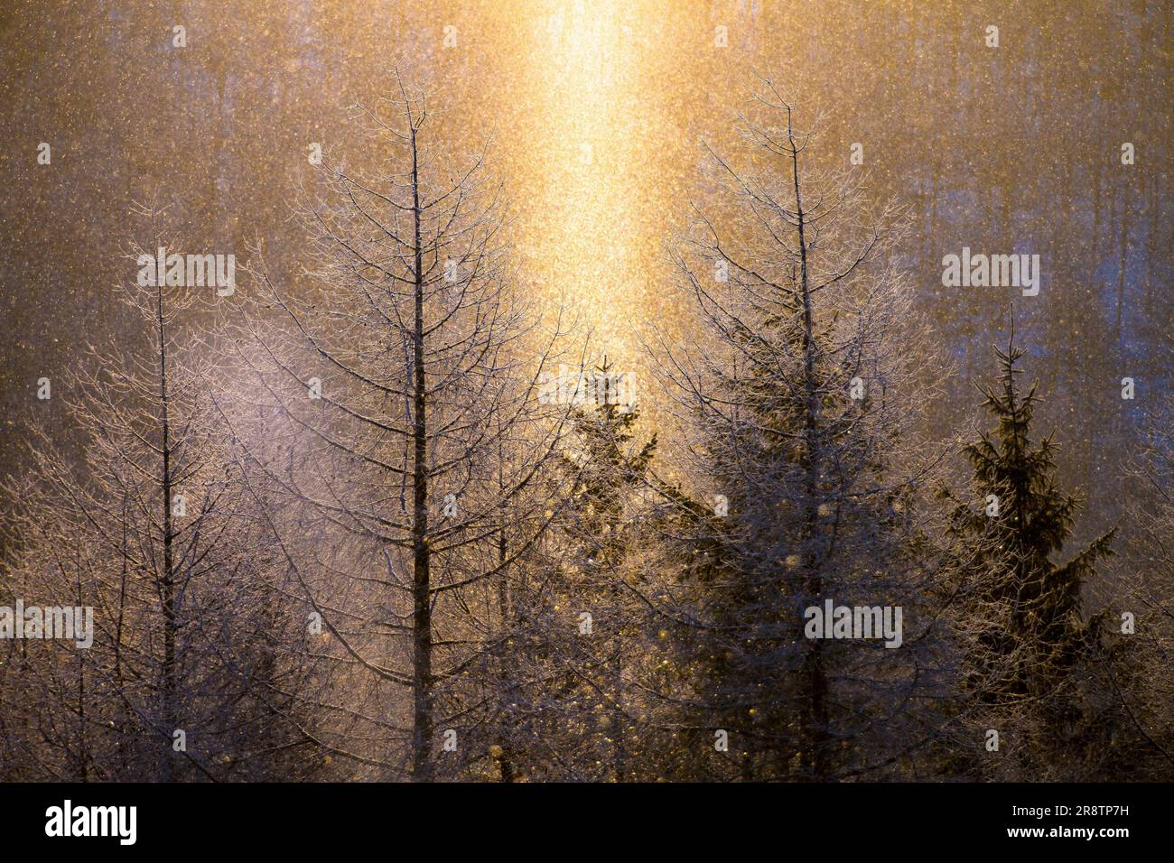 Sun pillar at Kirigamine Stock Photo - Alamy