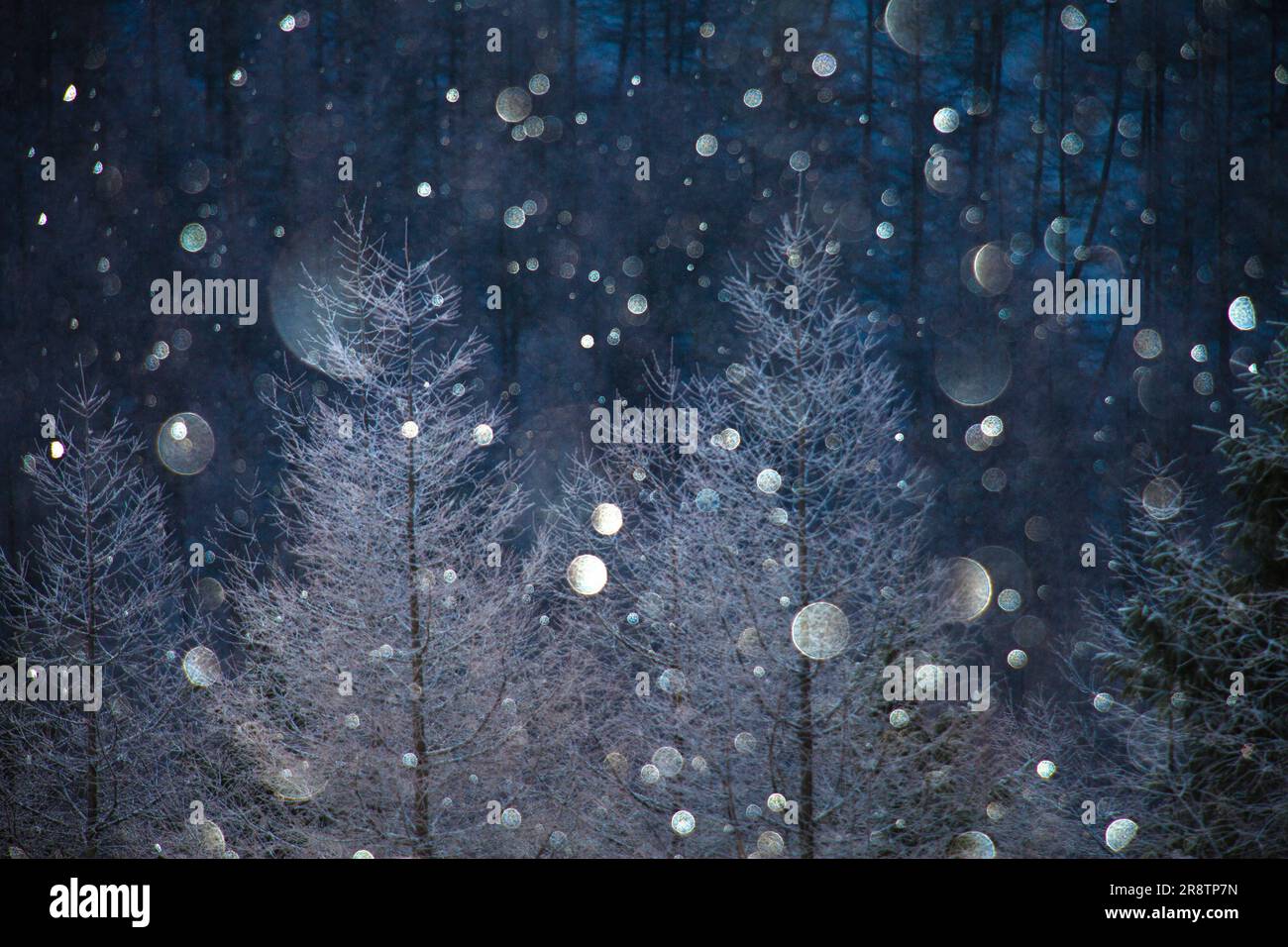 List of national parks of japan hi-res stock photography and images - Alamy