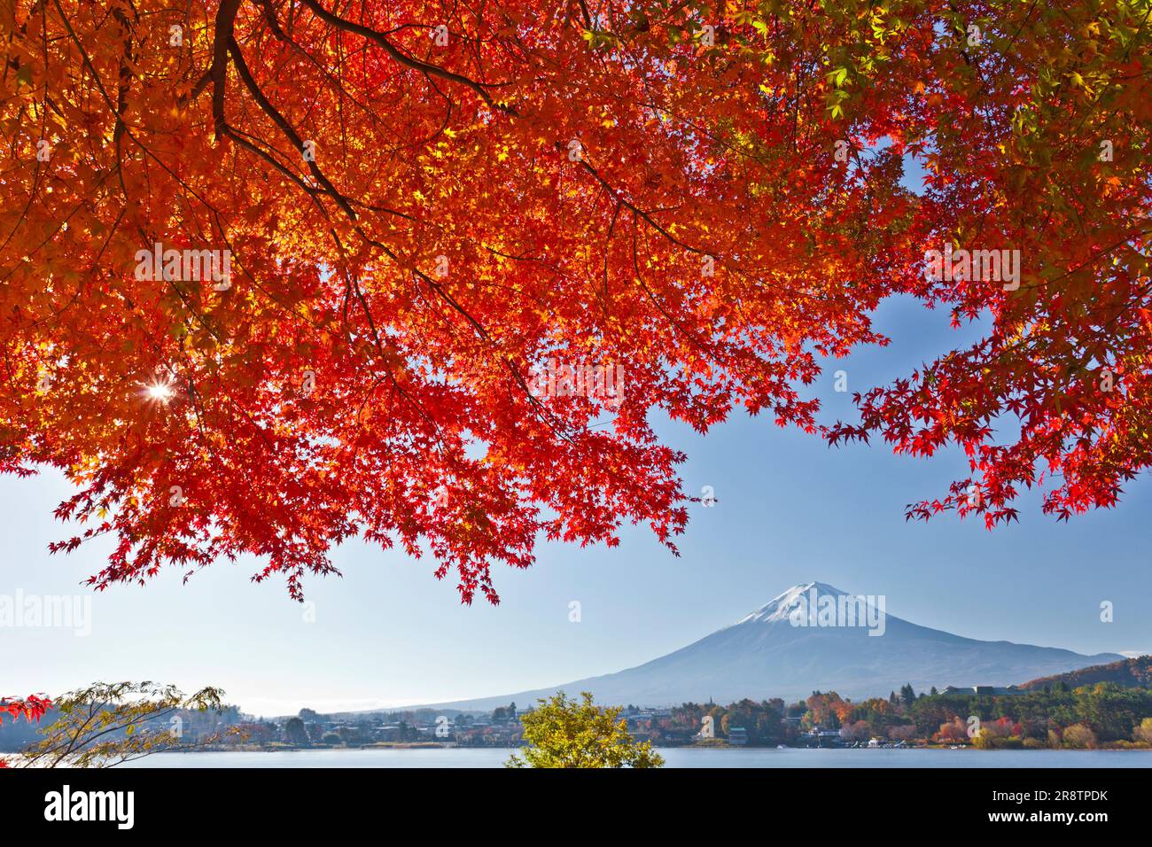 Landscape of bright red maple leaves at lake Kawaguchiko and mount Fuji in autumn Stock Photo ...