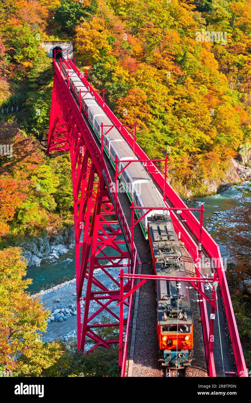 Kurobe gorge railway, Yamabikobashi bridge and a trolley train Stock ...