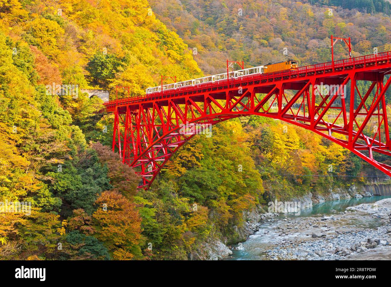 Kurobe gorge railway, Yamabikobashi bridge and a trolley train Stock ...