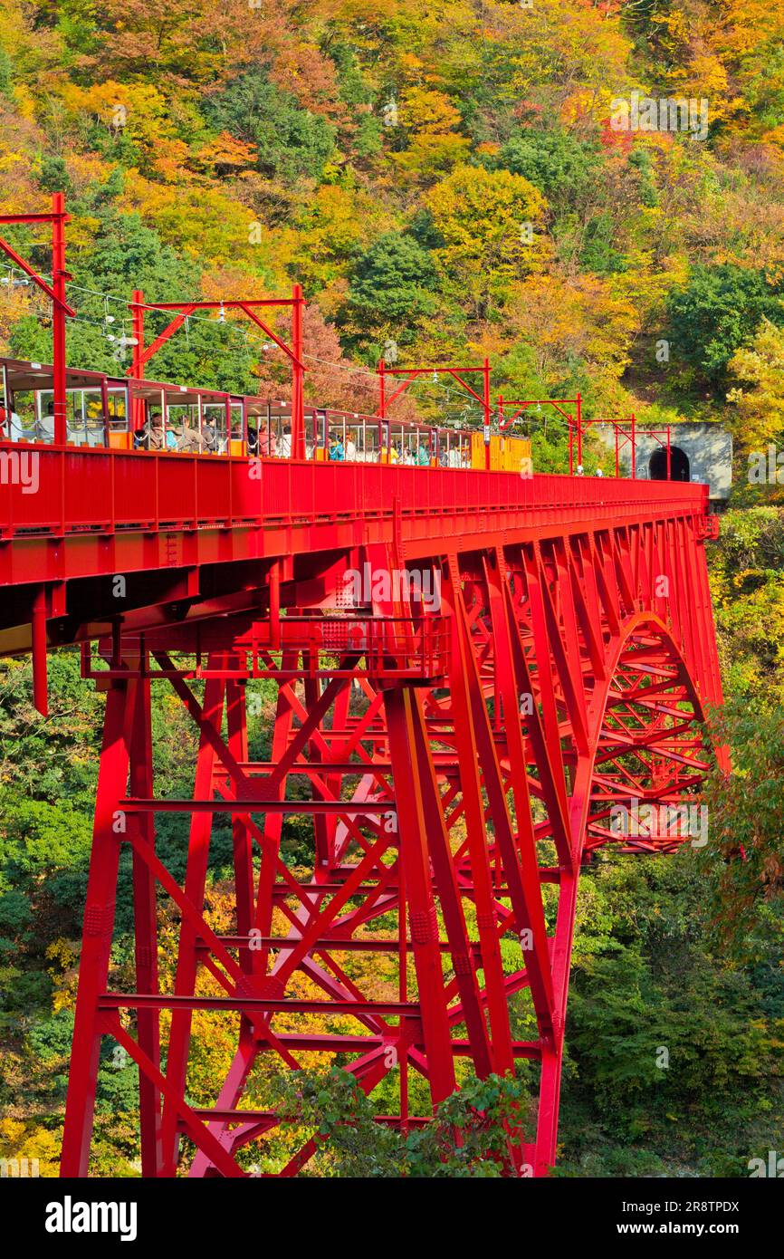 Kurobe gorge railway, Yamabikobashi bridge and a trolley train in ...