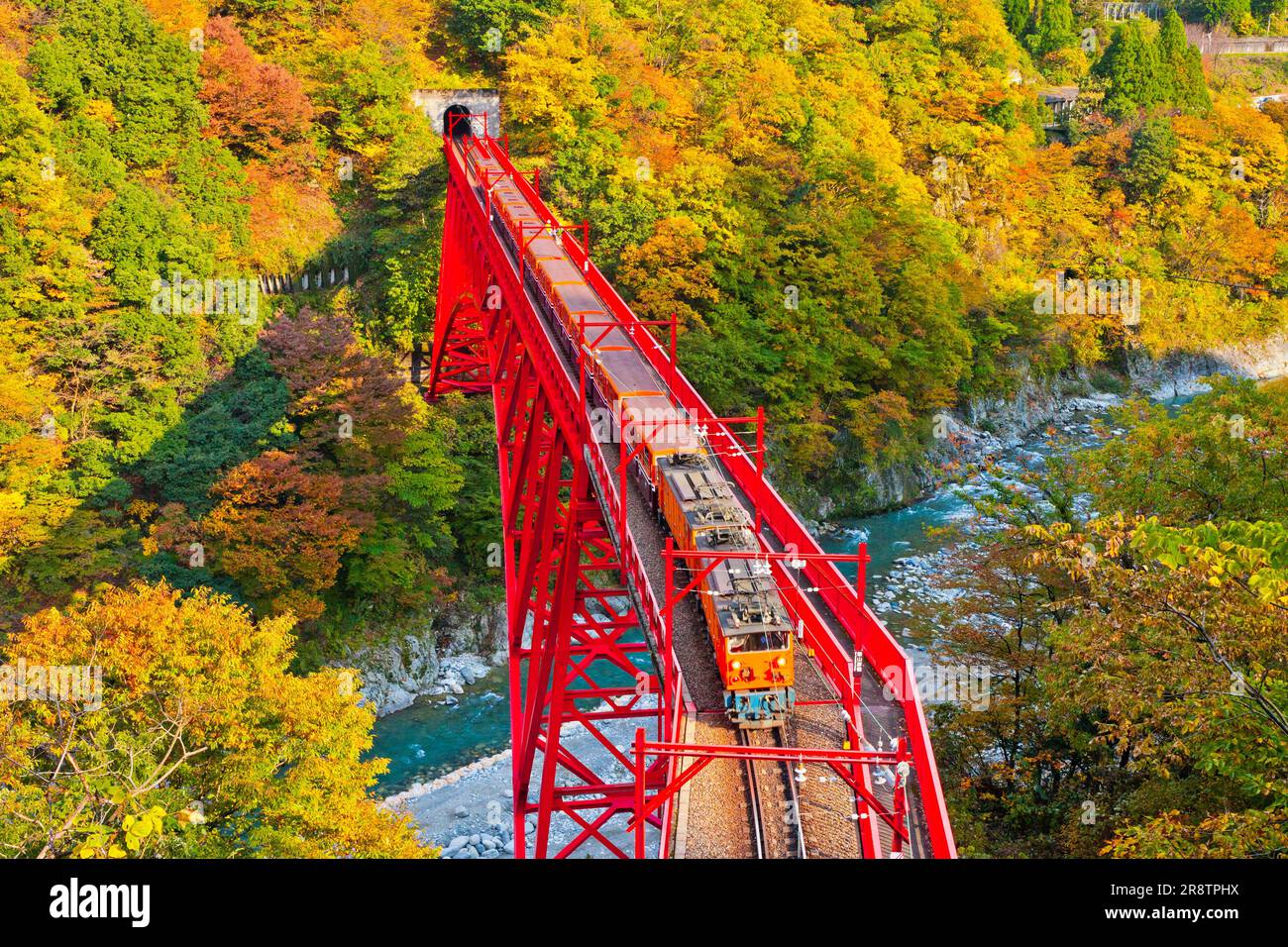 Kurobe gorge railway, Yamabikobashi bridge and a trolley train Stock ...