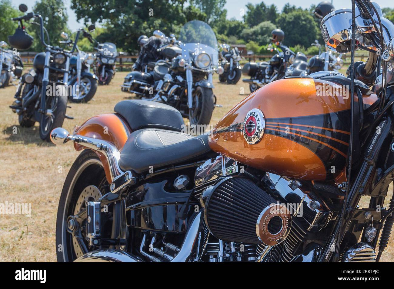 Harley davidson rally hi-res stock photography and images - Alamy