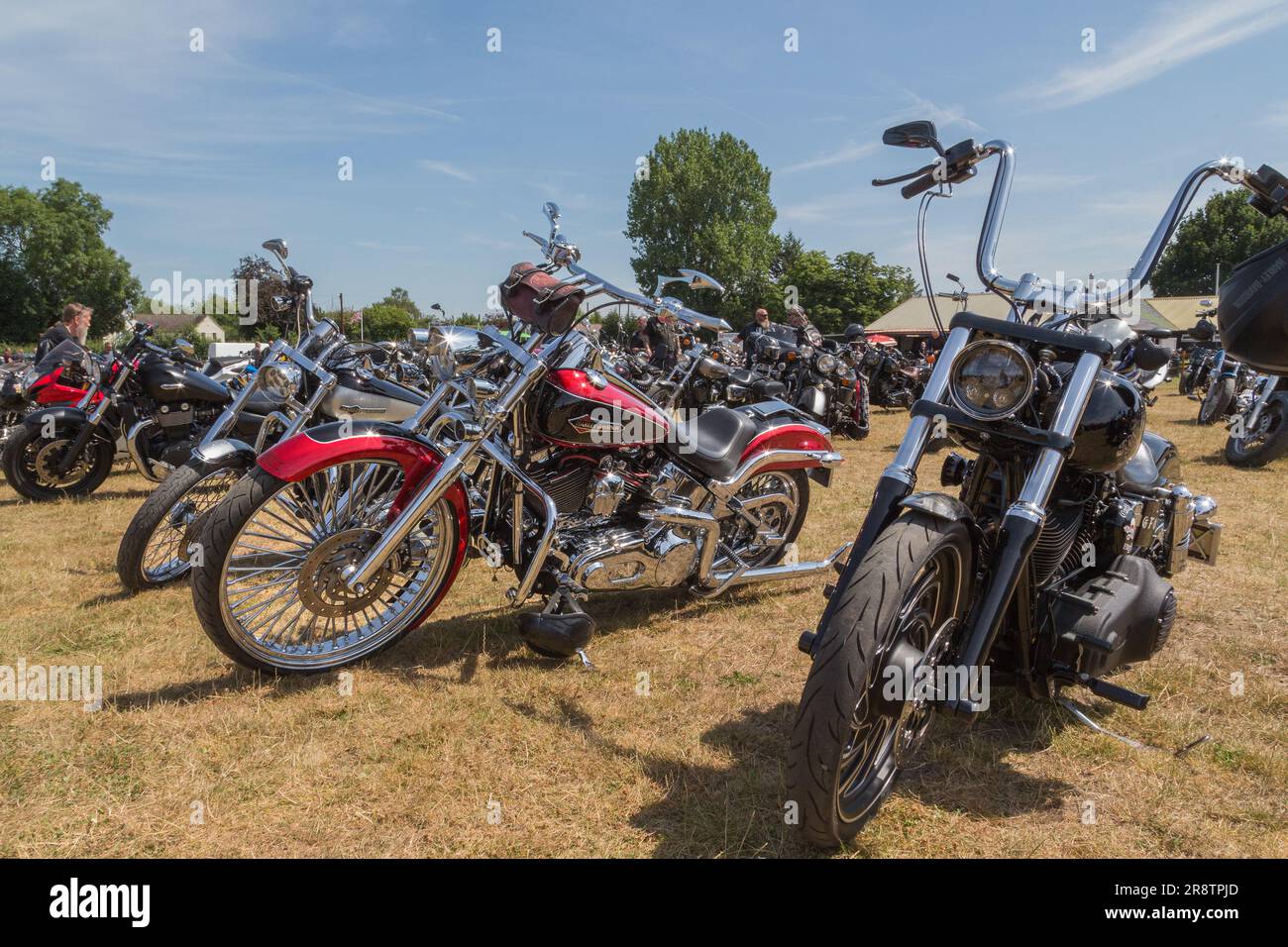 Rows of motorbikes lined up in a field at a motorcycle rally. The ...