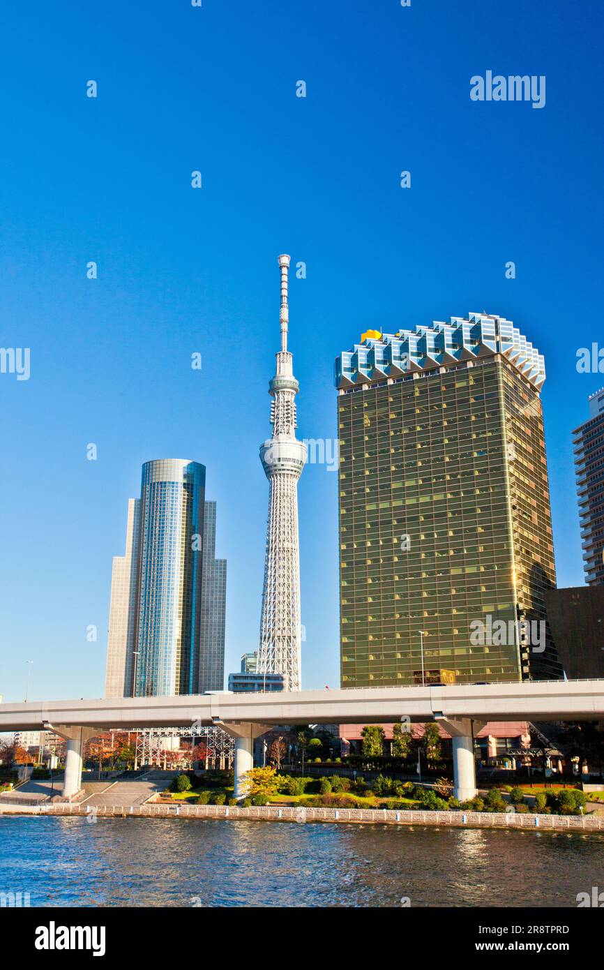 The Tokyo Skytree Tower and the Asahi Beer tower standing towering over ...