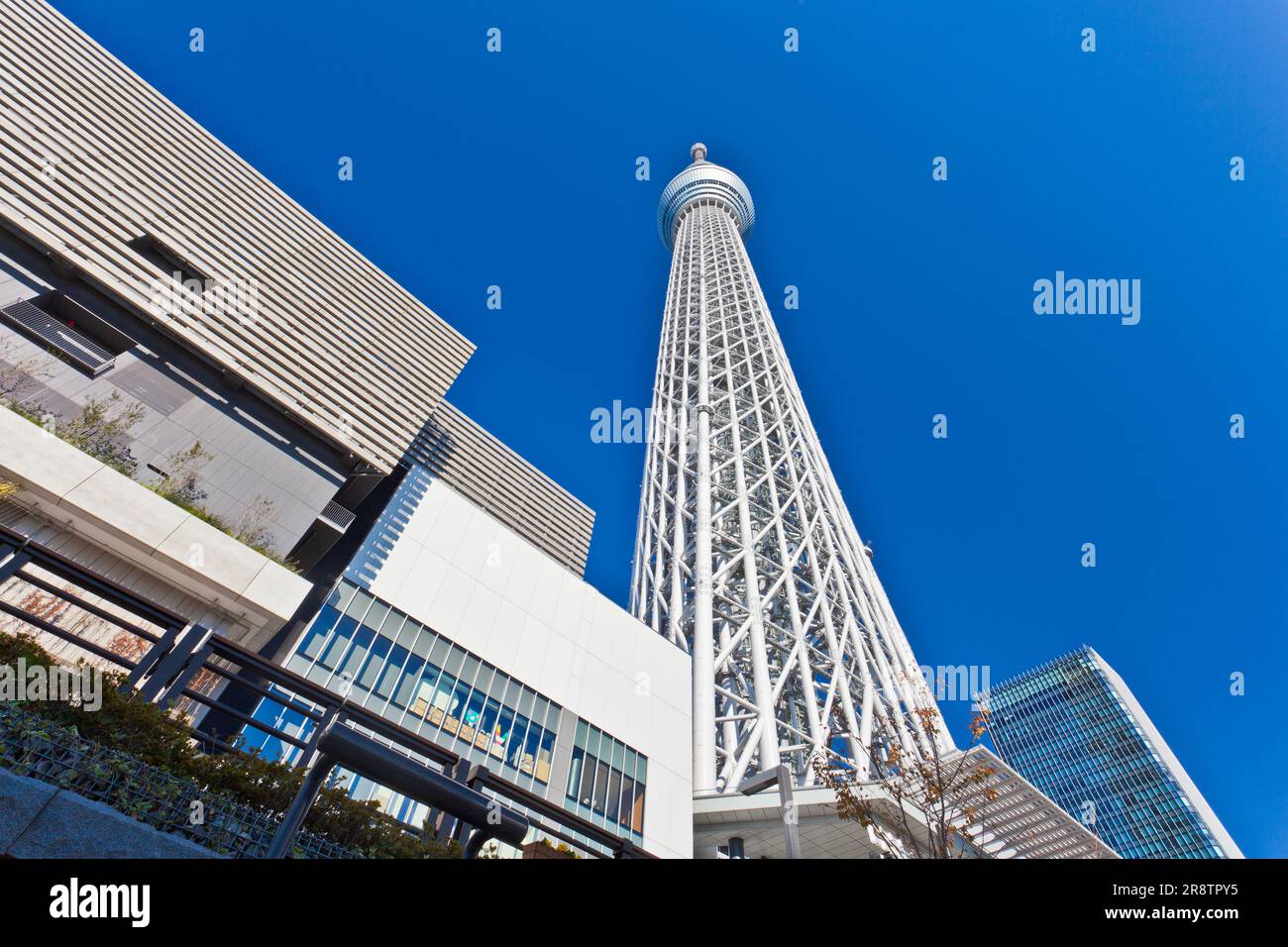 The Tokyo Skytree Tower and the Tokyo Solamachi standing towering over ...