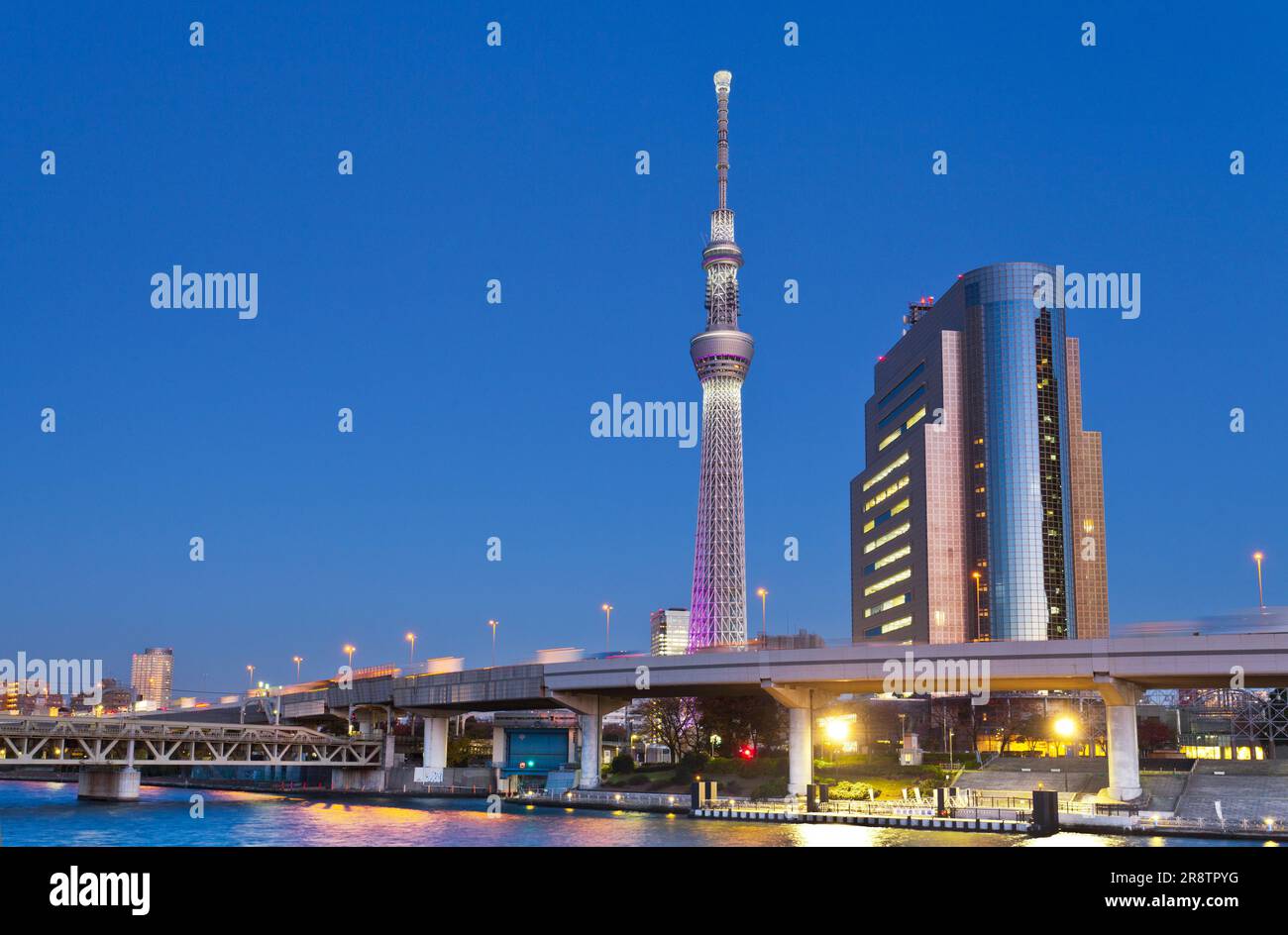 Night view of Sumida ward office and Tokyo Sky Tree Stock Photo - Alamy